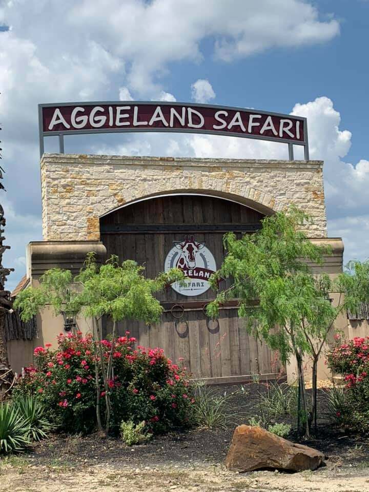 Aggieland Safari Family 4 Pack - Pebble Creek PTO Silent Auction 2023